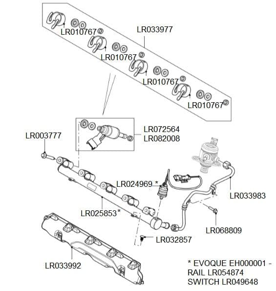 Fuel Injectors & Rail