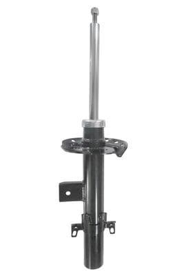 Rear Shock Absorbers