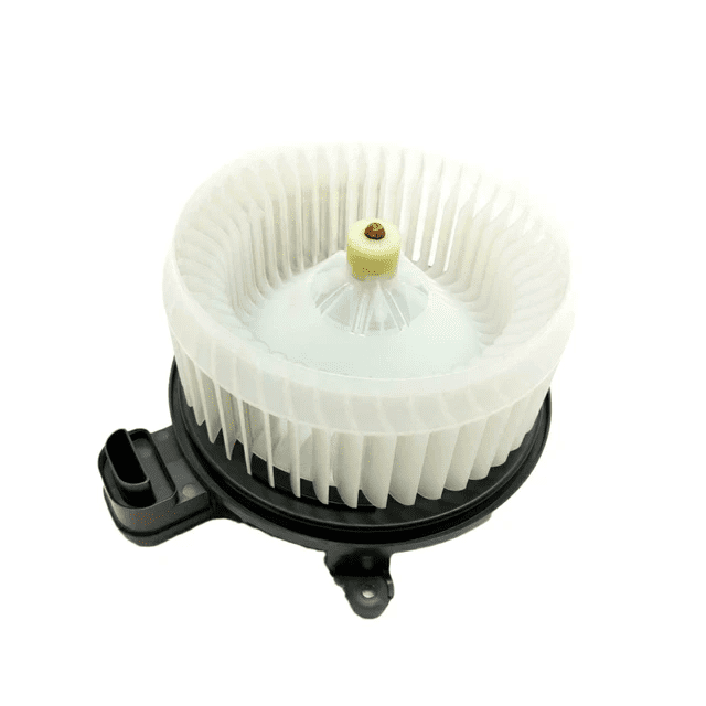 Heater Motor