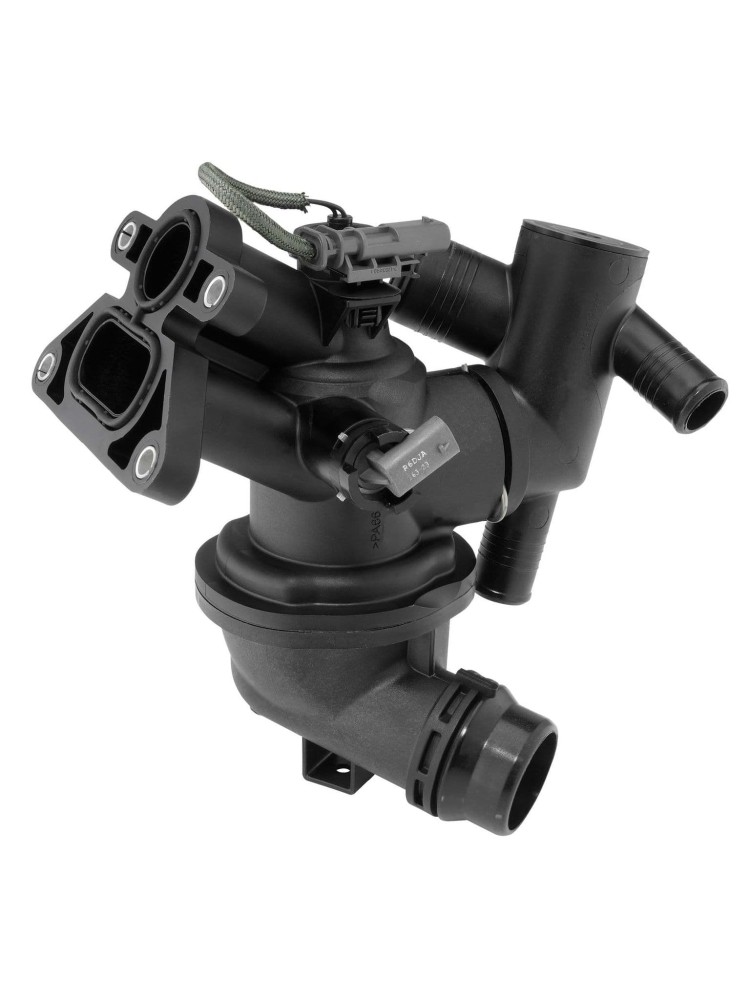 Thermostat & Hoses